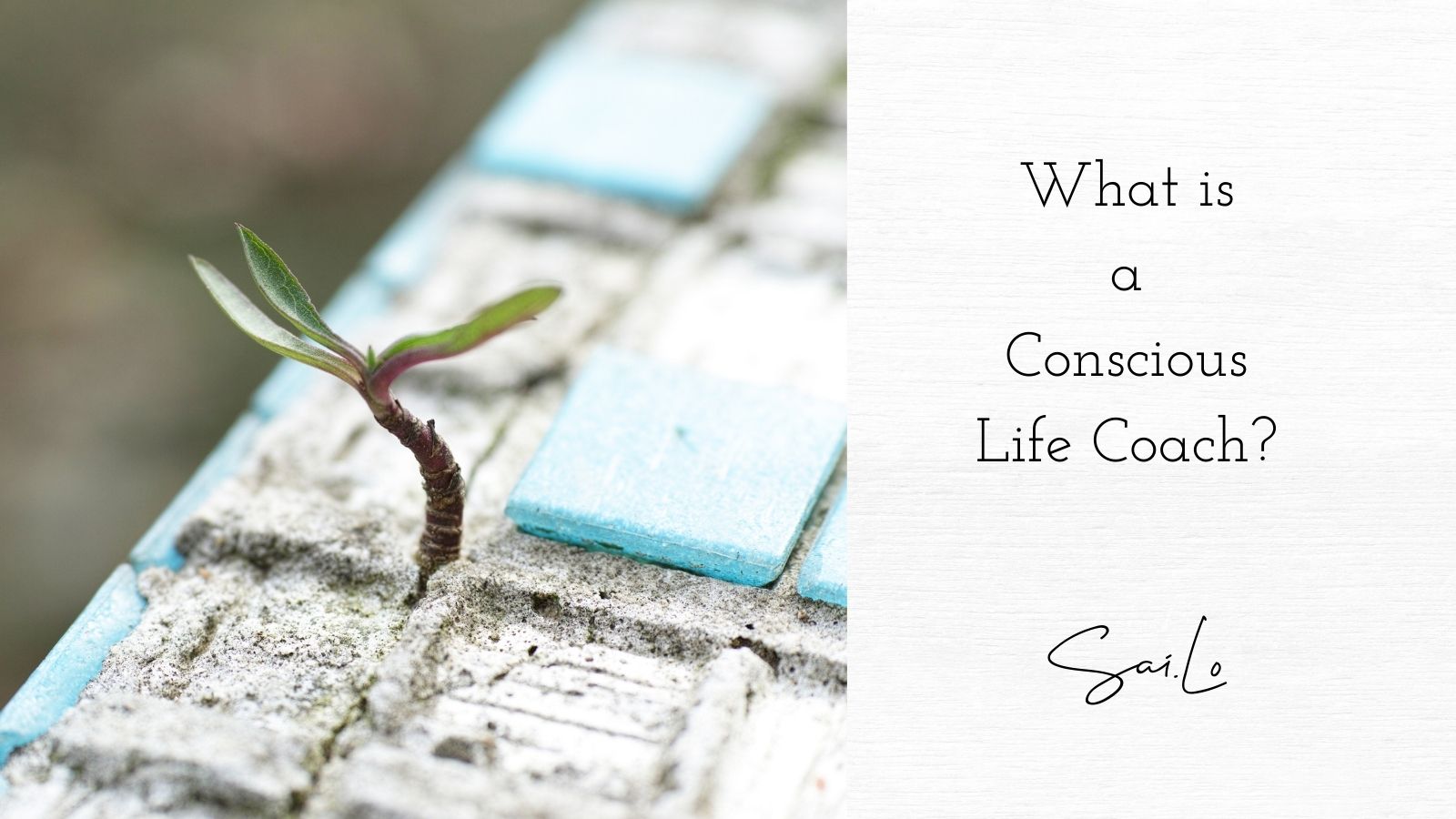 What is a Conscious Life Coach ? | Sai Lo Coaching